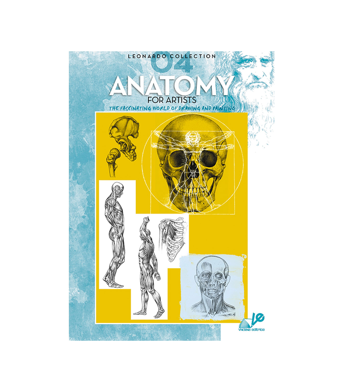 Leonardo Collection: Anatomy (No04) - Art & Colour
